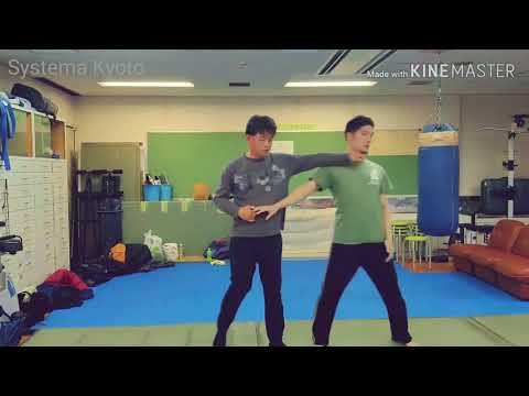 システマ京都PV | SYSTEMA WEB