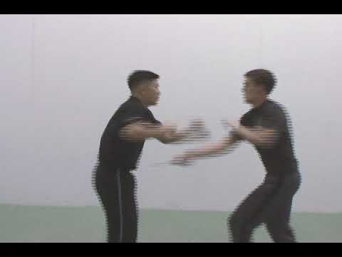 Systema – Fast Attack – Kwan Lee | SYSTEMA WEB
