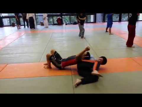 Systema LA goes to Japan 1 | SYSTEMA WEB