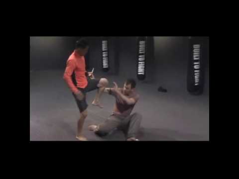 Systema Los Angeles at Academy | SYSTEMA WEB