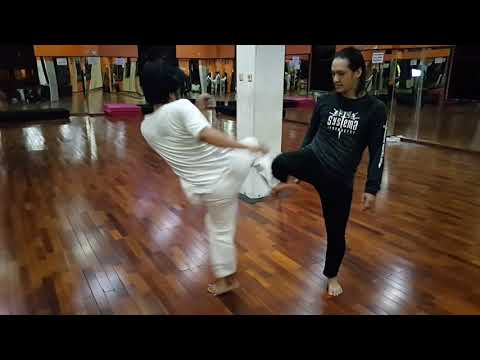 Systema Jogjakarta Indonesia | Standing Joint Breaks | SYSTEMA WEB