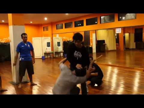 Systema Stick Defense Work | SYSTEMA WEB