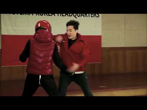 What is Systema? | SYSTEMA WEB