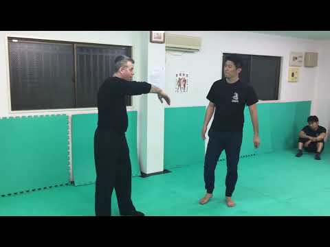 Vladimir Zaikovsky Systema Japan 2/6/19 special class clip | SYSTEMA WEB
