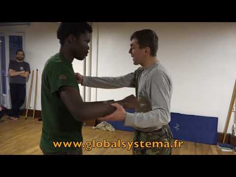 Systema Komarov – Frapper tout en se protégeant | SYSTEMA WEB