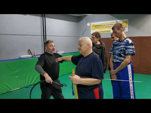 2022-12 Systema Ryabko seminar. Systema strike | SYSTEMA WEB