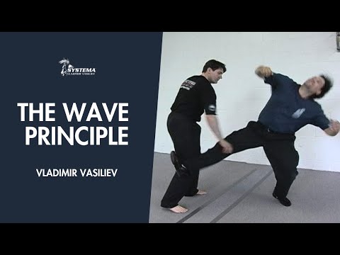 The Wave Principle | SYSTEMA WEB